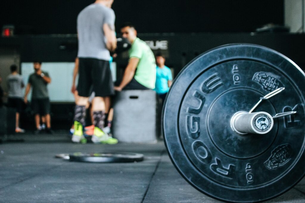 Weight Training – Mustangs Baseball